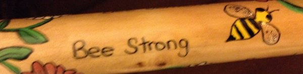 Dix Stix - walking sticks